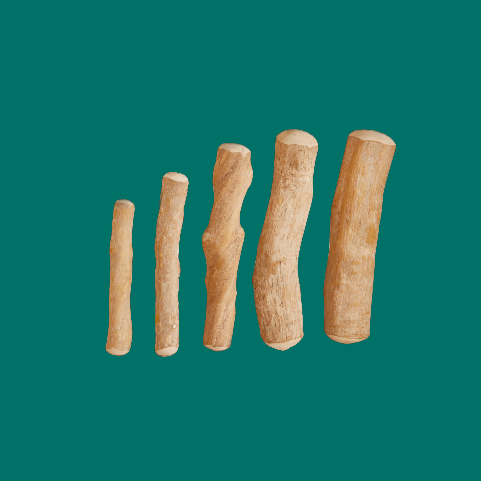 Canophera Coffee Wood Chews for Dogs | Barkfield Road